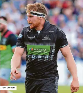 Falcons snap up champion Warrior Tom - PressReader