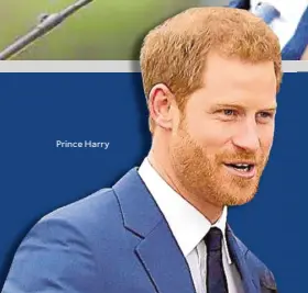 PUBLISHER OF PRINCE HARRY MEMOIR PRINTS 130,000 NEW COPIES - PressReader