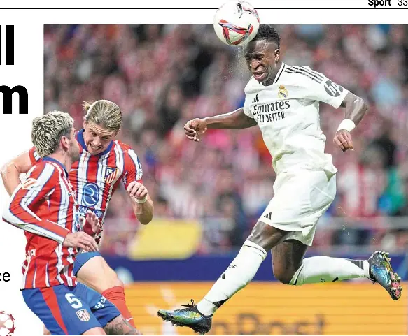 In full bloom at lille - PressReader