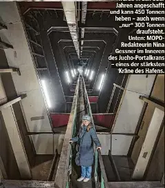 Der Herr der Kräne - PressReader