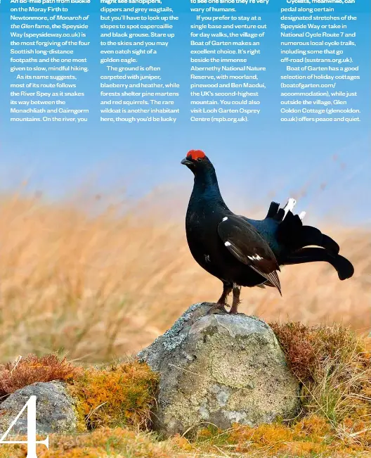 Riverside trek - PressReader