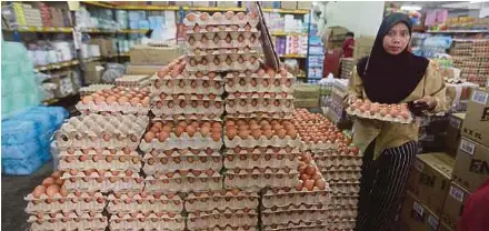 Bekalan telur ayam gred A, B kurang di pasaran - PressReader
