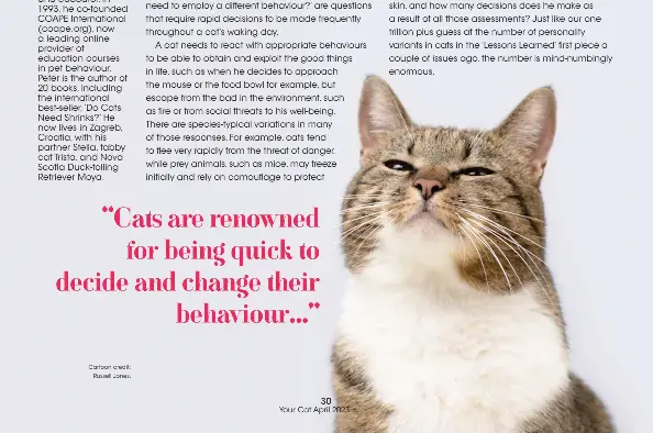 Lessons learned - PressReader