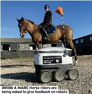 Riders in the saddle - PressReader