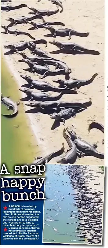 A snap happy bunch - PressReader