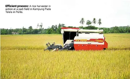 Mardi issues guide to optimise rice field management - PressReader