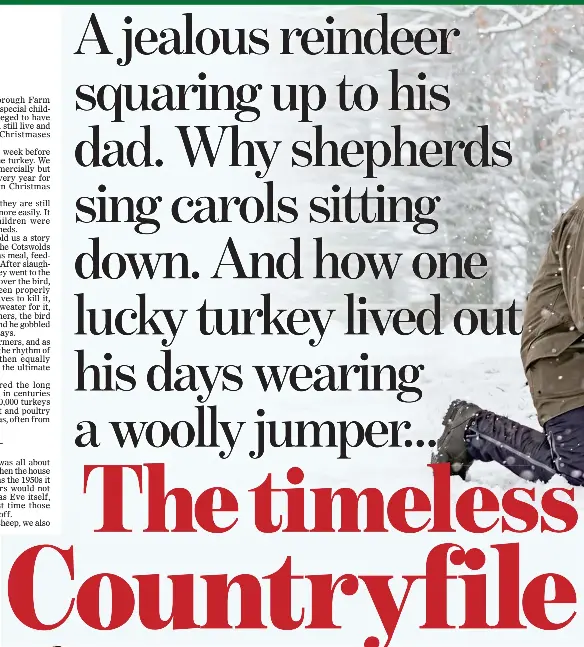 The timeless magic of a Countryfil­e Christmas - PressReader