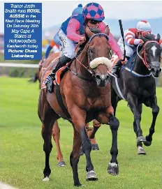 Not exactly easy for Tout A Fait - PressReader