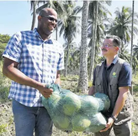 JP Farms tests coconut exports - PressReader