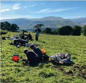 Metal detecting must be held to same standards as archaeolog­y ...