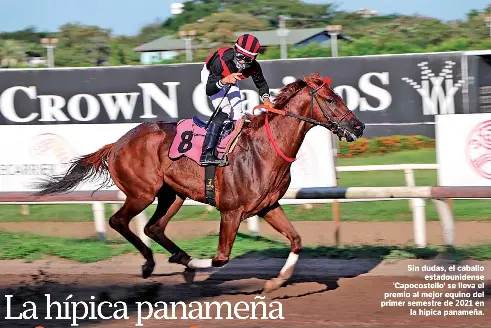 La hípica panameña sigue viva - PressReader
