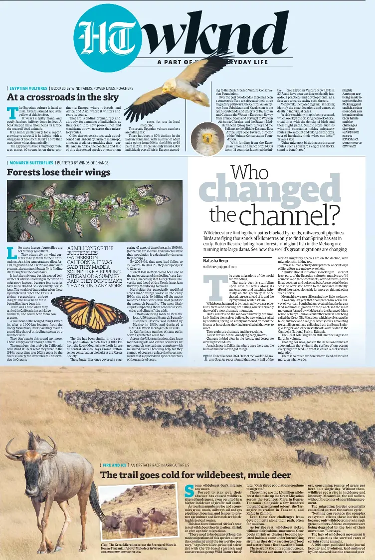 Who changed the channel? - PressReader