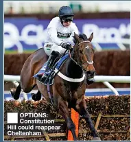 Constituti­on Hill may head to Cheltenham - PressReader