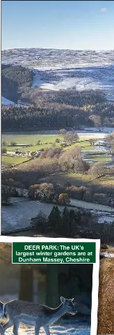 WALKING IN A WINTER WONDERLAND - PressReader