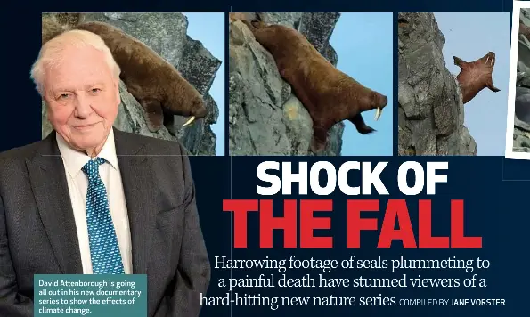 Shock doccie’s walrus tragedy - PressReader