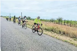 Padkos and baobab mysteries on day one - PressReader