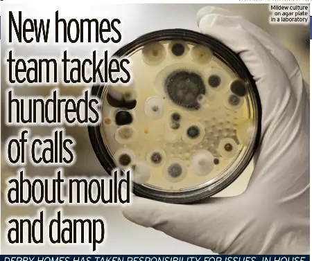 Newhomes team tackles hundreds of calls about mould and damp - PressReader