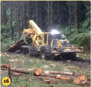 SHAW’S WIRE ROPES IRON TEST - PressReader