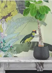 totally tropical - PressReader