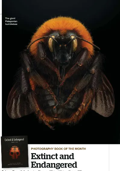 Extinct and Endangered - PressReader