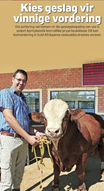 Kies geslag vir vinnige vordering - PressReader