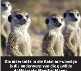 Meerkat Manor: The Next Generation - PressReader