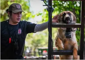 Philippine­s trains pet dogs for search and rescue - PressReader