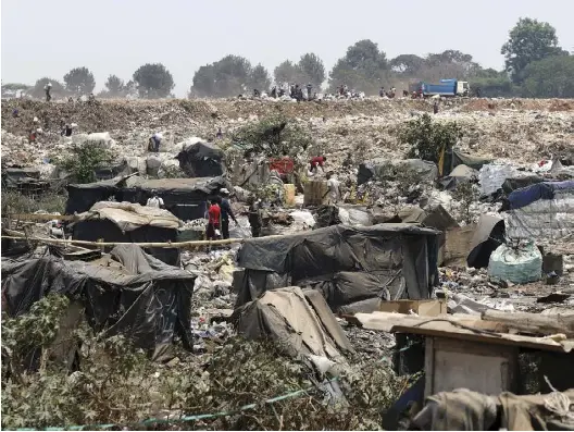 ED recycles deadwood - PressReader