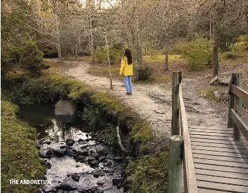 5 things to do - PressReader