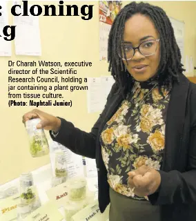 SRC’S tissue culture magic: cloning plants for backyard farming - PressReader