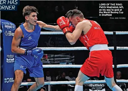 Boxer targeting Olympics with help of ex-champion - PressReader