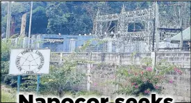 Napocor seeks approval of higher subsidized rates - PressReader