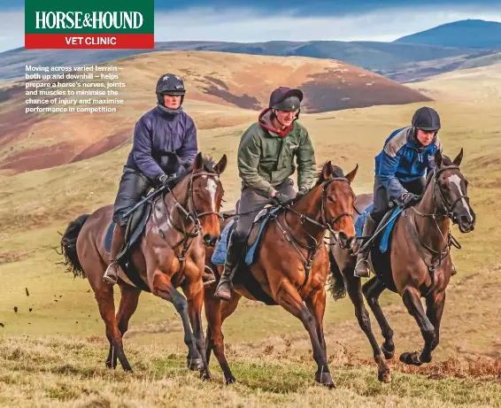 The benefits of hillwork for horses - PressReader