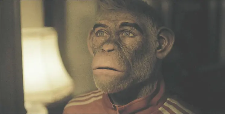 MONKEYING AROUND - PressReader