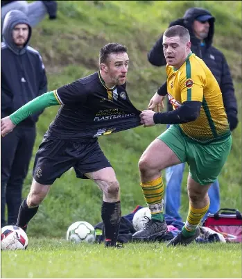 Carnew grab late leveller - PressReader