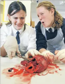 Cutting to the core in science quest - PressReader