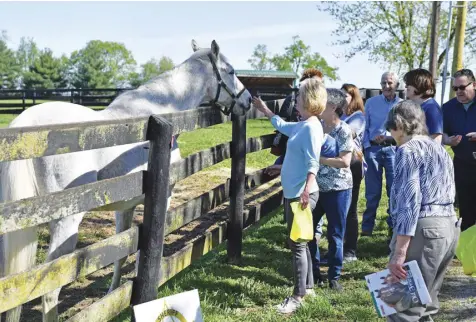 A life of leisure, Old Friends at retirement farm for ex-derby champ Silver Charm - PressReader