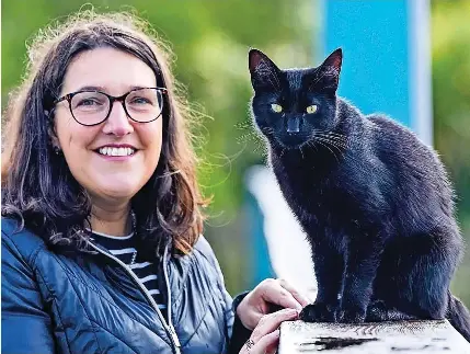Town cat who ‘acts lost and hungry for treats’ in line for national award - PressReader