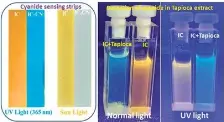 Researcher­s develop cyanide sensor to enhance safety of food products ...
