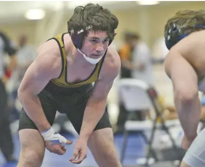 Eight from area are GHSA state champs - PressReader