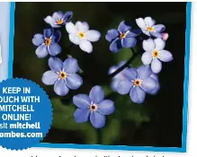 Ask Mitchell - PressReader