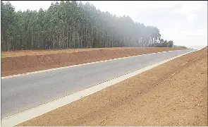 Sicunusa-Nhlangano Road turns scenic - PressReader