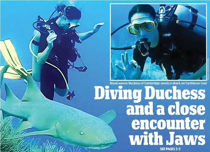 Diving Duchess and a close encounter with Jaws - PressReader