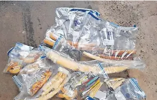 Bavele enkantolo ababanjwe nemiboko yezindlovu - PressReader