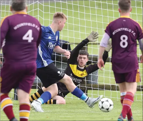 Campbell gets reign off to a winning start - PressReader