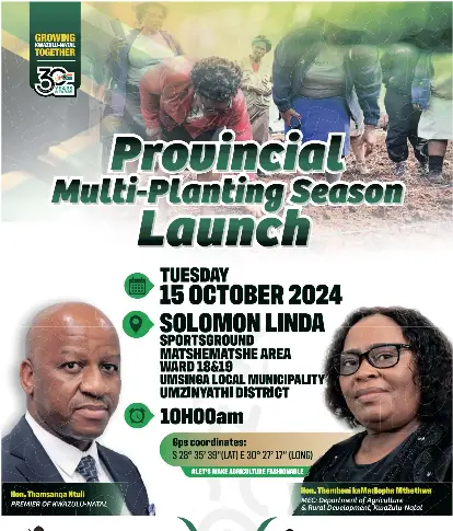 Oklebe babophe inqwaba egqigqa izinkantol­o - PressReader