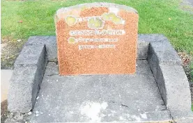 Kiwi scholar and fine sportsman - PressReader