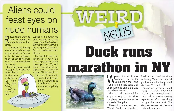 Duck runs marathon in NY - PressReader
