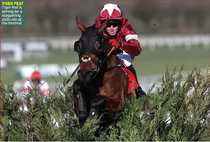 ONE LAST ROLL OF THE DICE... - PressReader