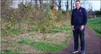 Tree-mendous! - PressReader